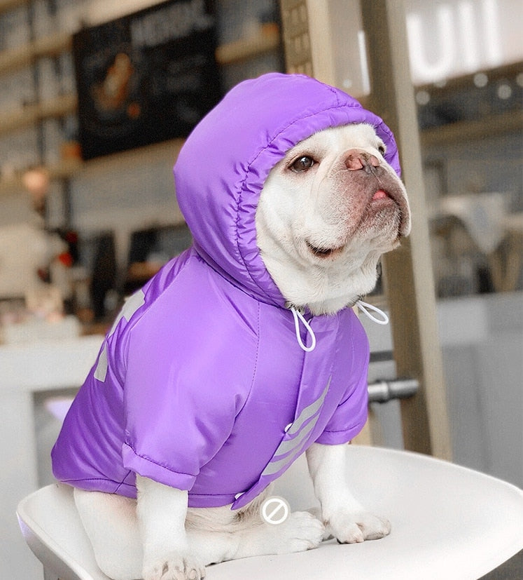 GIUBBOTTO PER CANI Just Pup It! – Pupperino